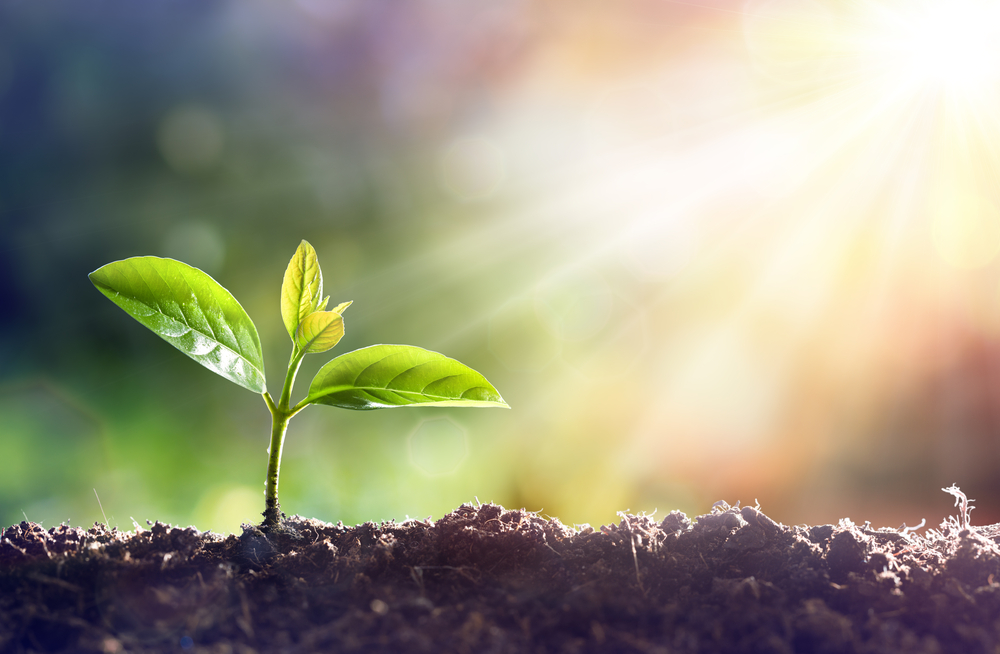 The peacemaking principles - PeaceWise